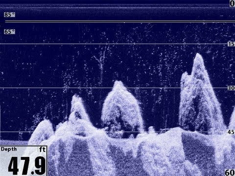 Tips 'n Tricks 47: Humminbird Down Imaging Settings - YouTube