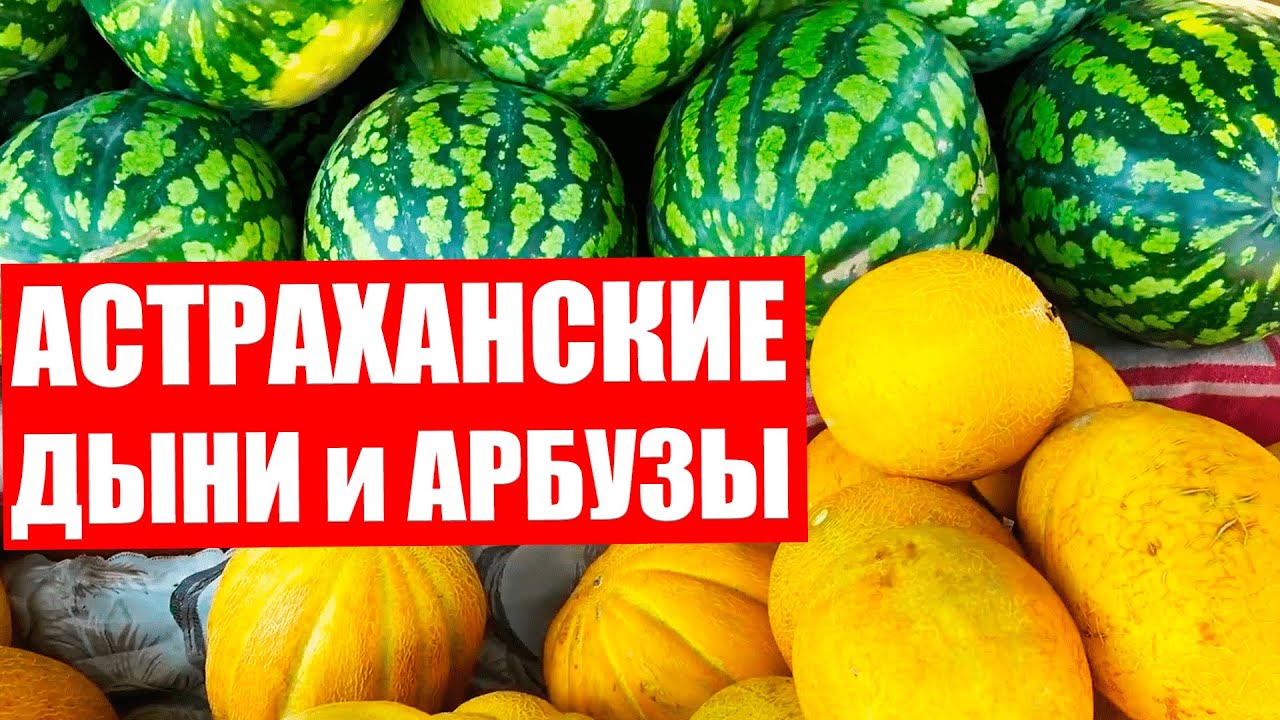Астрахань 2020 Астраханские арбузы и дыни Обзор сортов астраханских