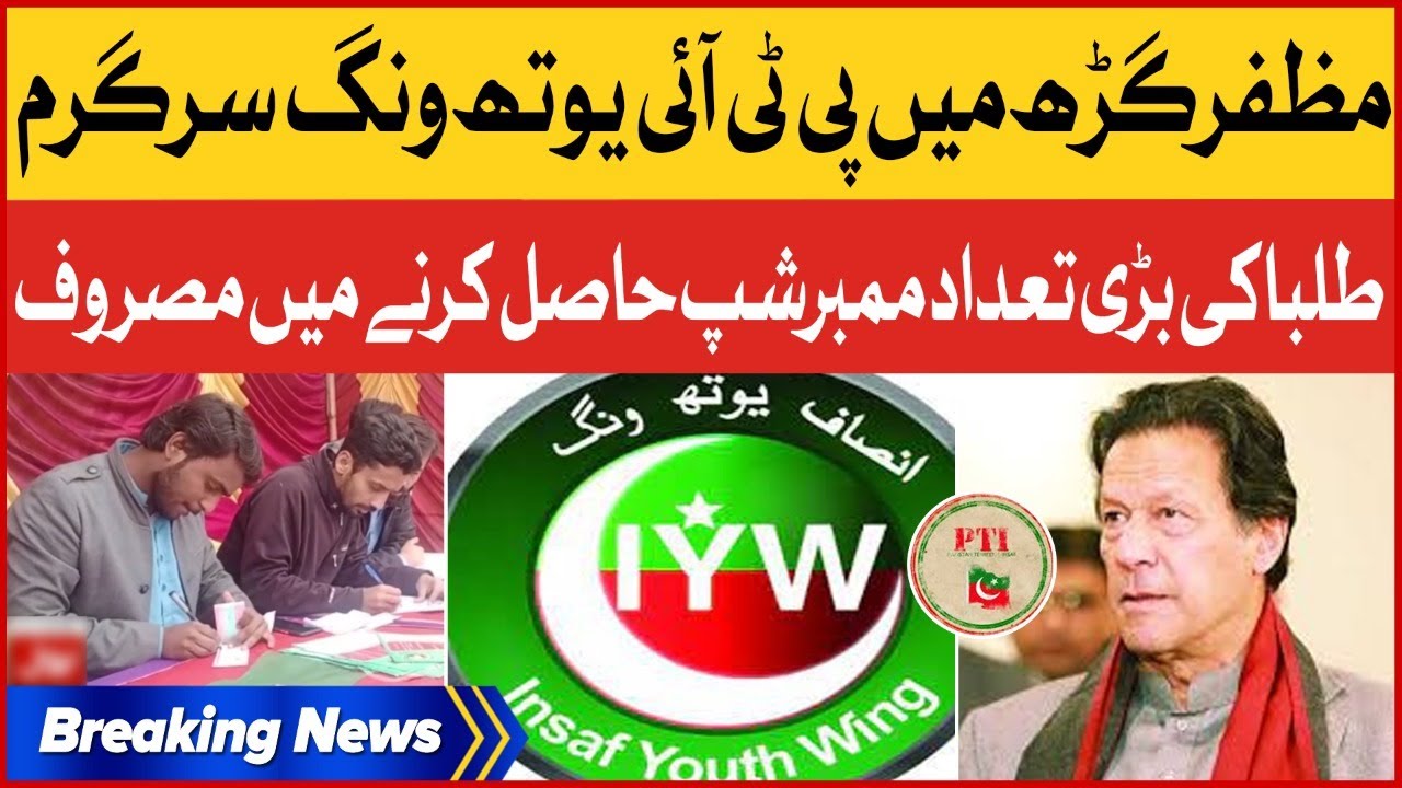 PTI Youth Wing Active In Muzaffargarh | Students Are Getting Membership ...