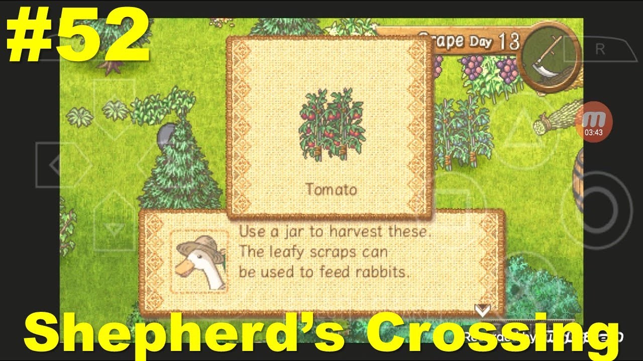 Shepherd's Crossing PSP Gameplay #52 Tomato, Reducing number of Animals ...