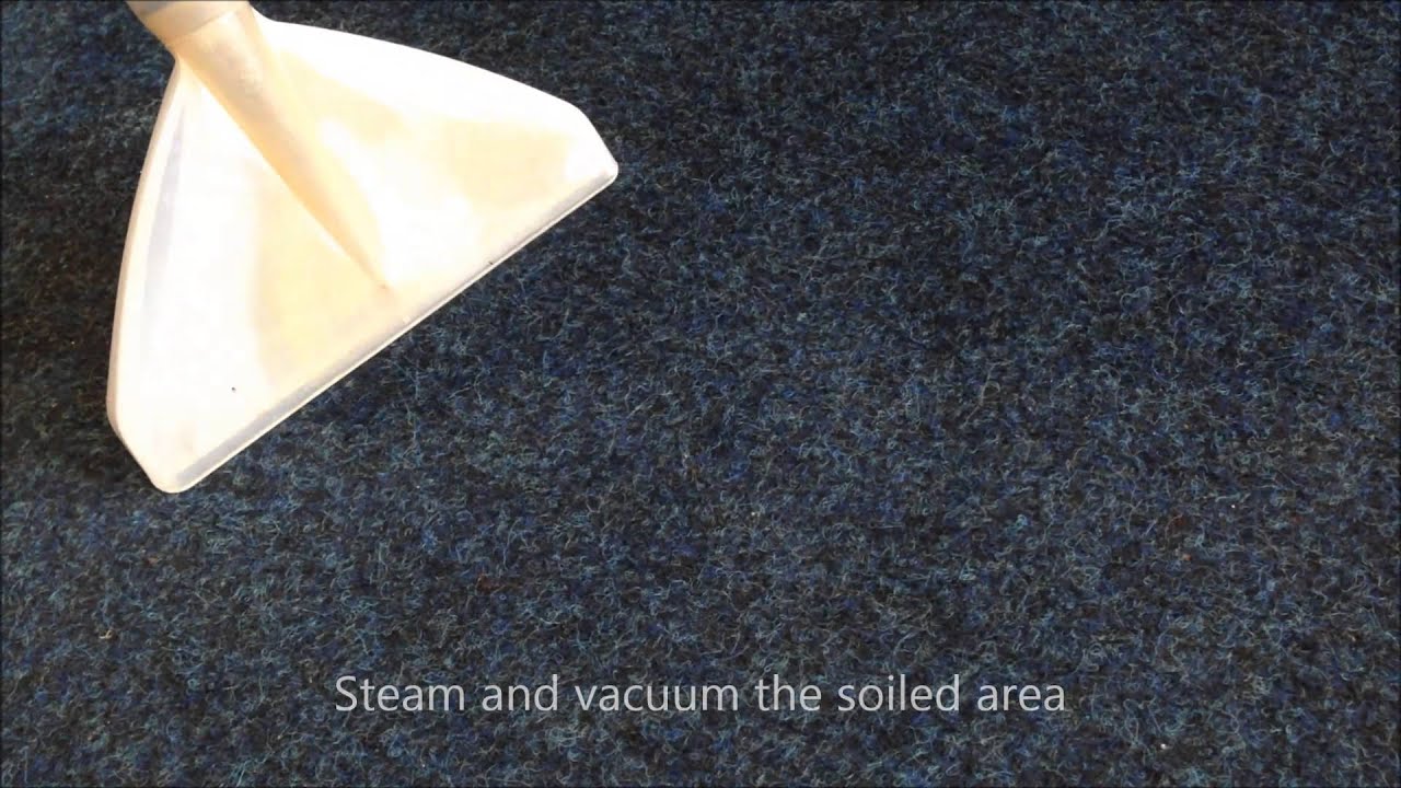 7 Fish Tail, steam cleaning - YouTube