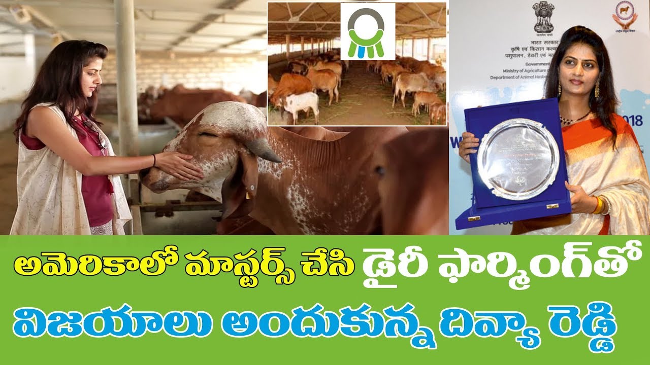 Success Story of Dairy Farming in Telugu | Women Entrepreneur Allola ...