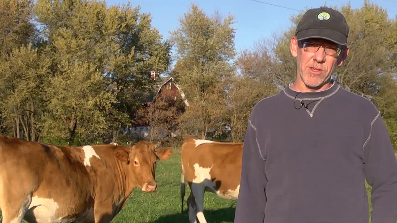 All Grass Farm web promo - YouTube