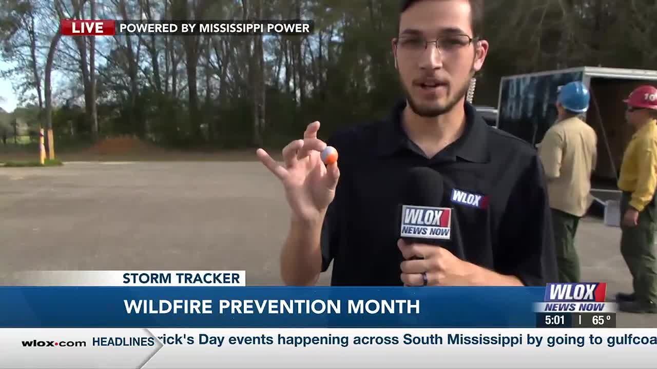 Meteorologist Aaron Colby prescribed burns in Harrison County - YouTube