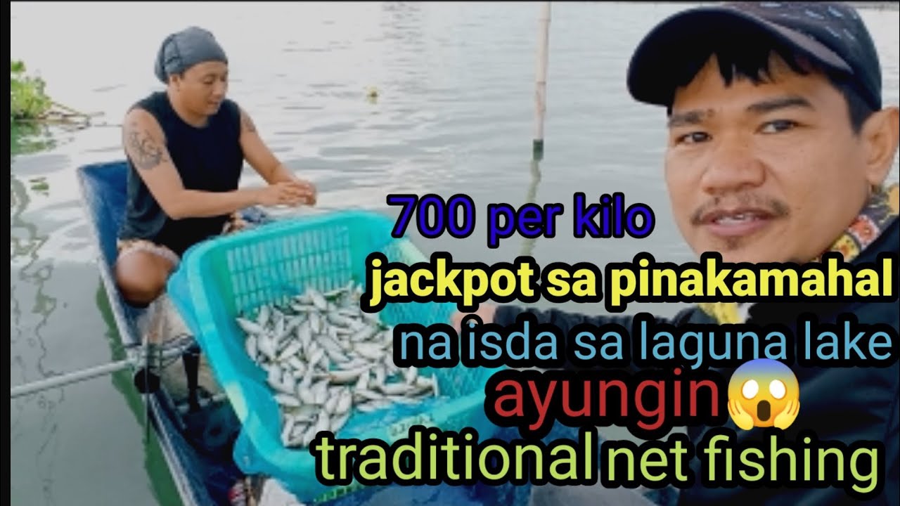jackpot sa pinakamahal na isda sa Laguna lake traditional net fishing w ...