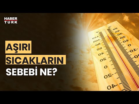 Bu yaz sıcaklık 50 derece üstüne çıkarsa ne yapmalıyız? Prof. Dr. Levent Kurnaz yanıtladı
