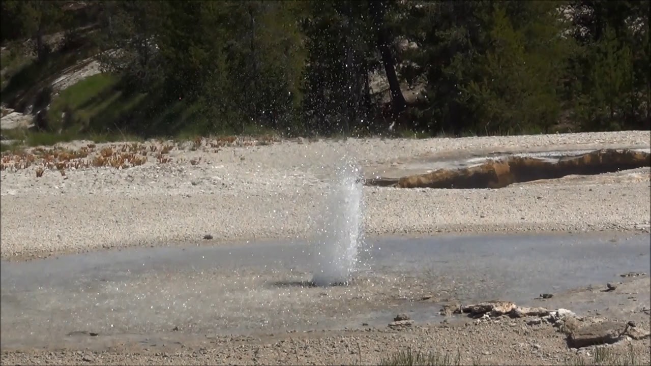 Little Squirt Geyser (HD) - YouTube