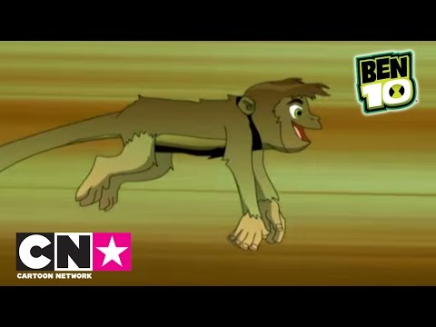 Ben 10: Ewolucja zwiastun | Ben 10 | Cartoon Network