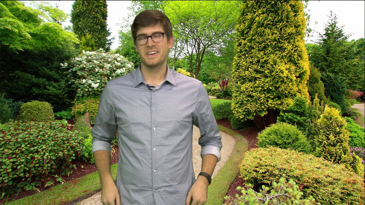 MIGardener Owner Luke Marion on Blue Water Beat - YouTube