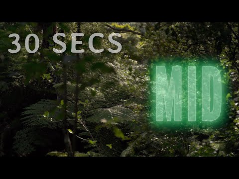 MID 30 secs  Bush Walk Cinematic Challenge