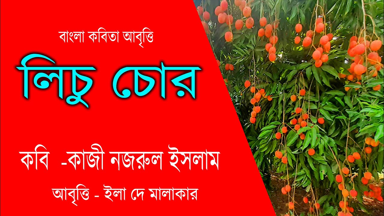 লিচু চোর - Lichu Chor Bangla Kobita By Kazi Nazrul Islam ... - YouTube