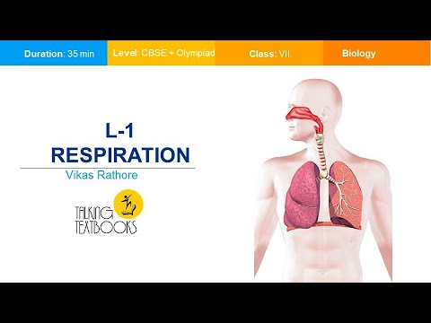 L - 1 Class 7 Crash Course | Introduction Of Respiratory System | Vikas ...