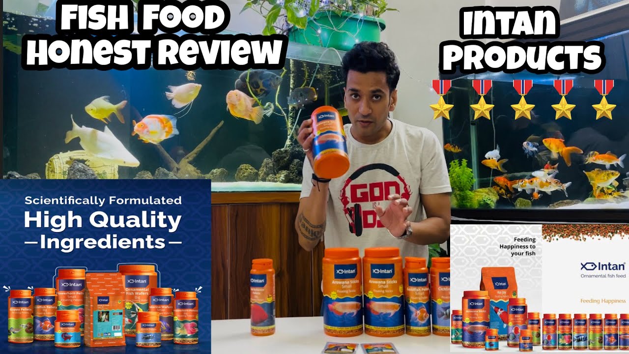 Best Fish Pellets| Intan Fish Pellets | Intan Fish Review | Best food ...