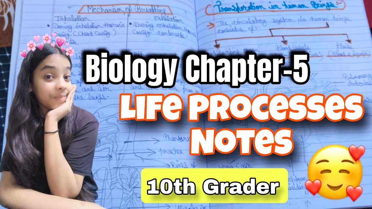 Biology Chapter-5 Life Processes Notes Class 10th || How to make notes ...