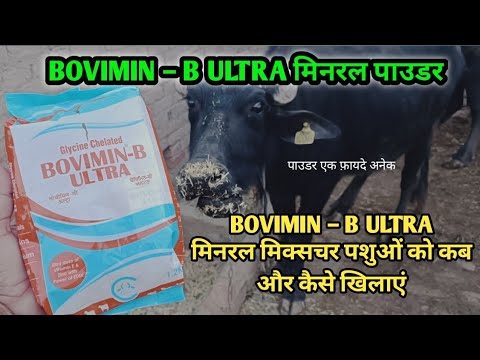 BOVIMIN–B ULTRA (Glycine Chelated) mineral Mixture पशुओ में कब के कैसे ...