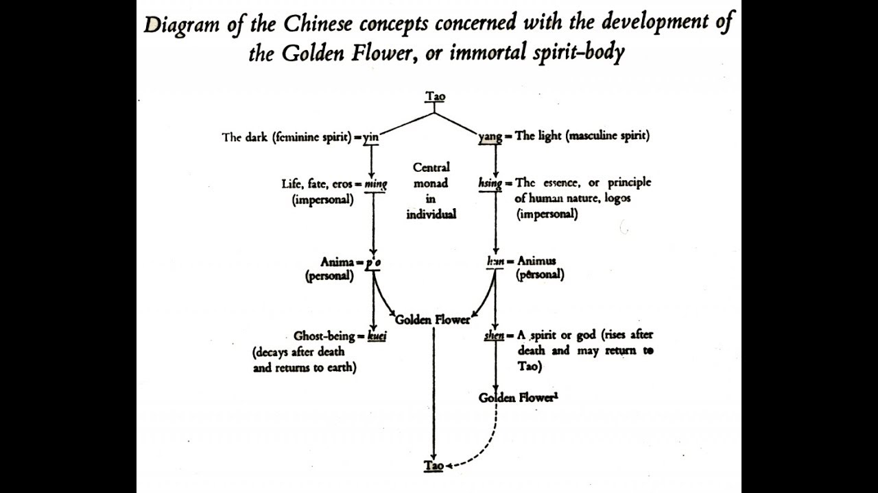 Leadership: Jungian Psychology & Alchemy Perspective - Interview with ...