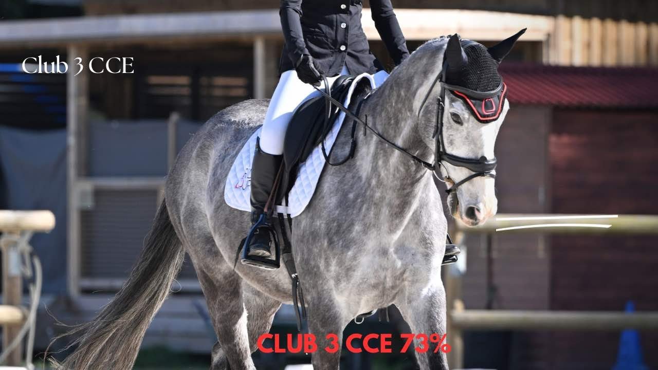 CLUB 3 / CLUB 2 CCE, REPRISE DE DRESSAGE - YouTube