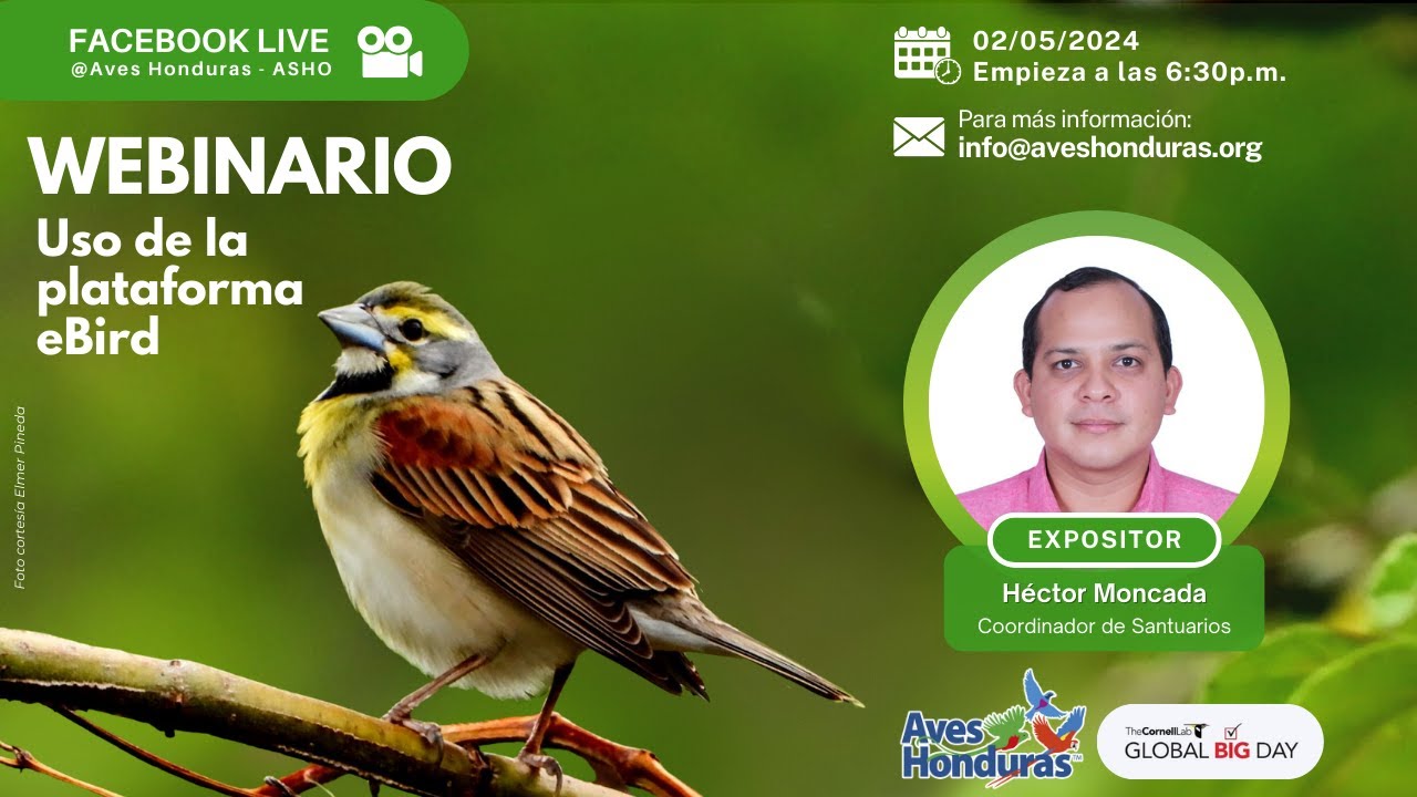 Webinario: Uso de la plataforma de eBird - YouTube