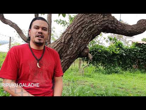 Povos Indígenas de Mato Grosso do Sul - (episódio 6)