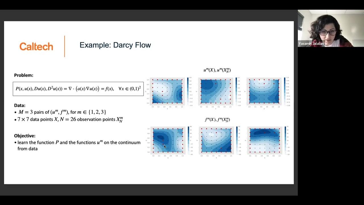 Yasamin Jalalian: Data-Efficient Kernel Methods for PDE Discovery - YouTube