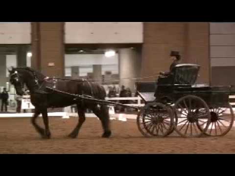 Dressage Driving Exhibition- Leah Huber - YouTube
