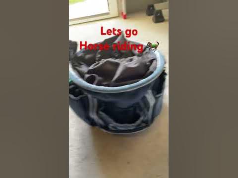 Do you like horses?#horse#equestrian#subscribe - YouTube