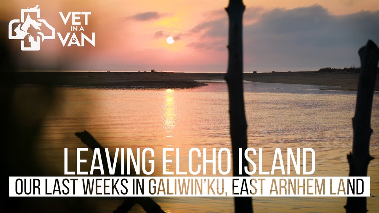 Our last weeks in Galiwin'ku, on Elcho Island - East Arnhem Land - YouTube