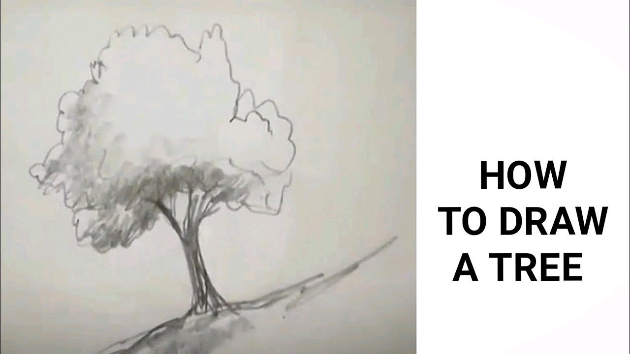 Karakalem Ağaç Çizimi. Pencil Drawing Tree. - YouTube