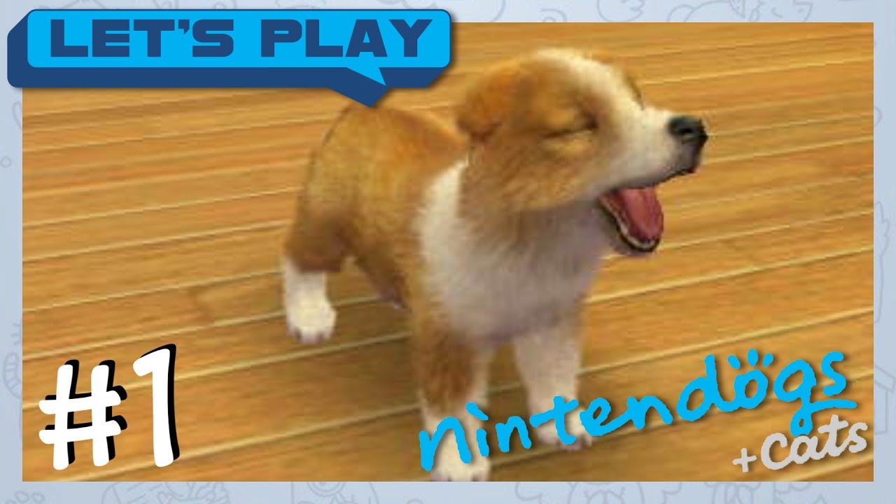 Nintendogs + Cats - French Bulldog: #1 "INIZIAMO!" [ITA] - YouTube