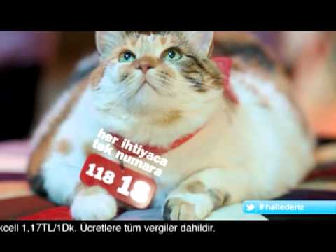 11818 Her İhtiyaca Tek Numara