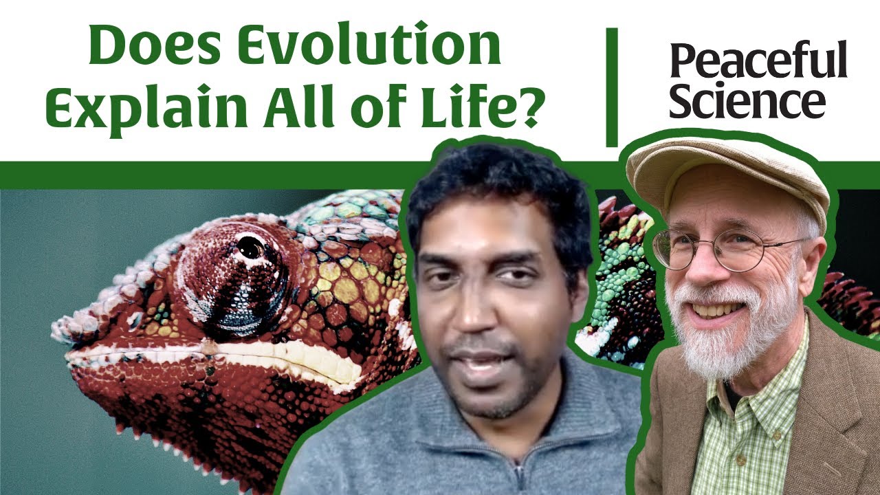 Does Evolution Explain All of Life ? - YouTube