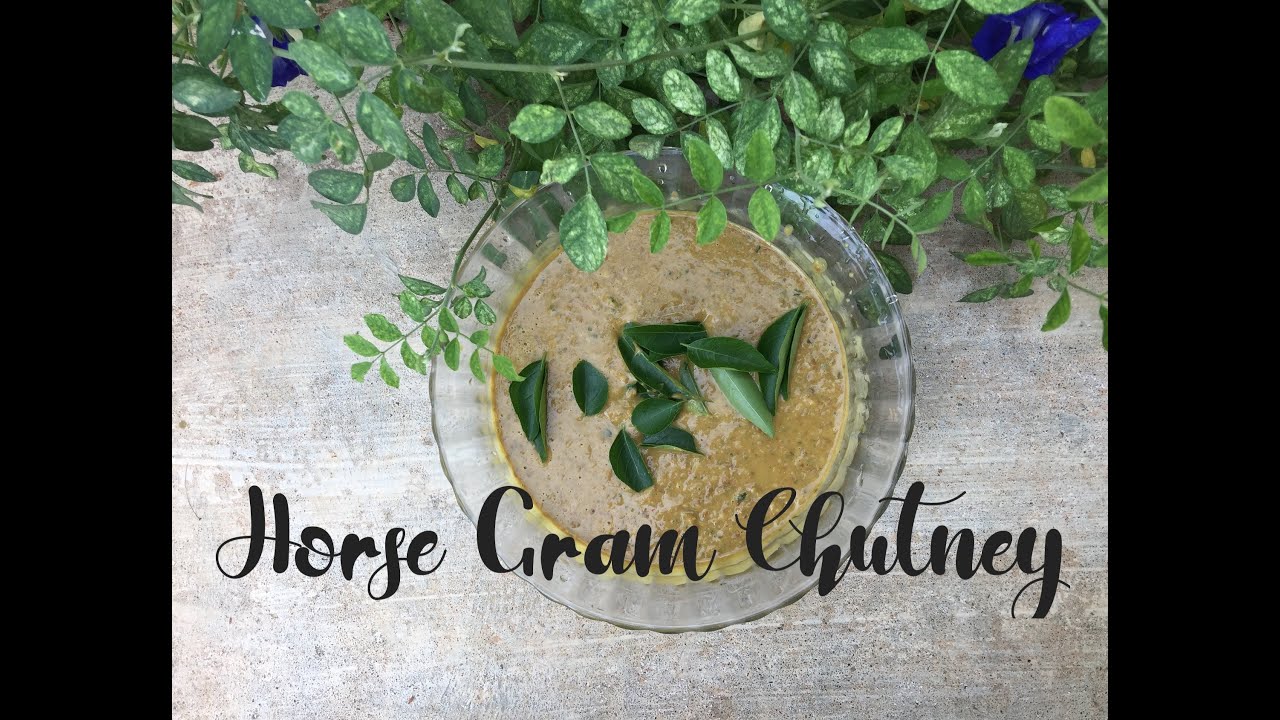 Chutney101 Horse Gram YouTube