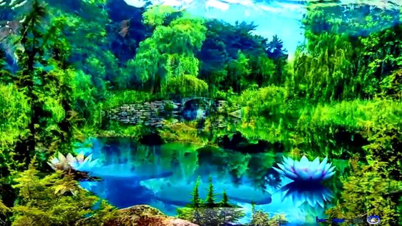 becixmat - Relax 655 - Krásna príroda - Beautiful nature - YouTube