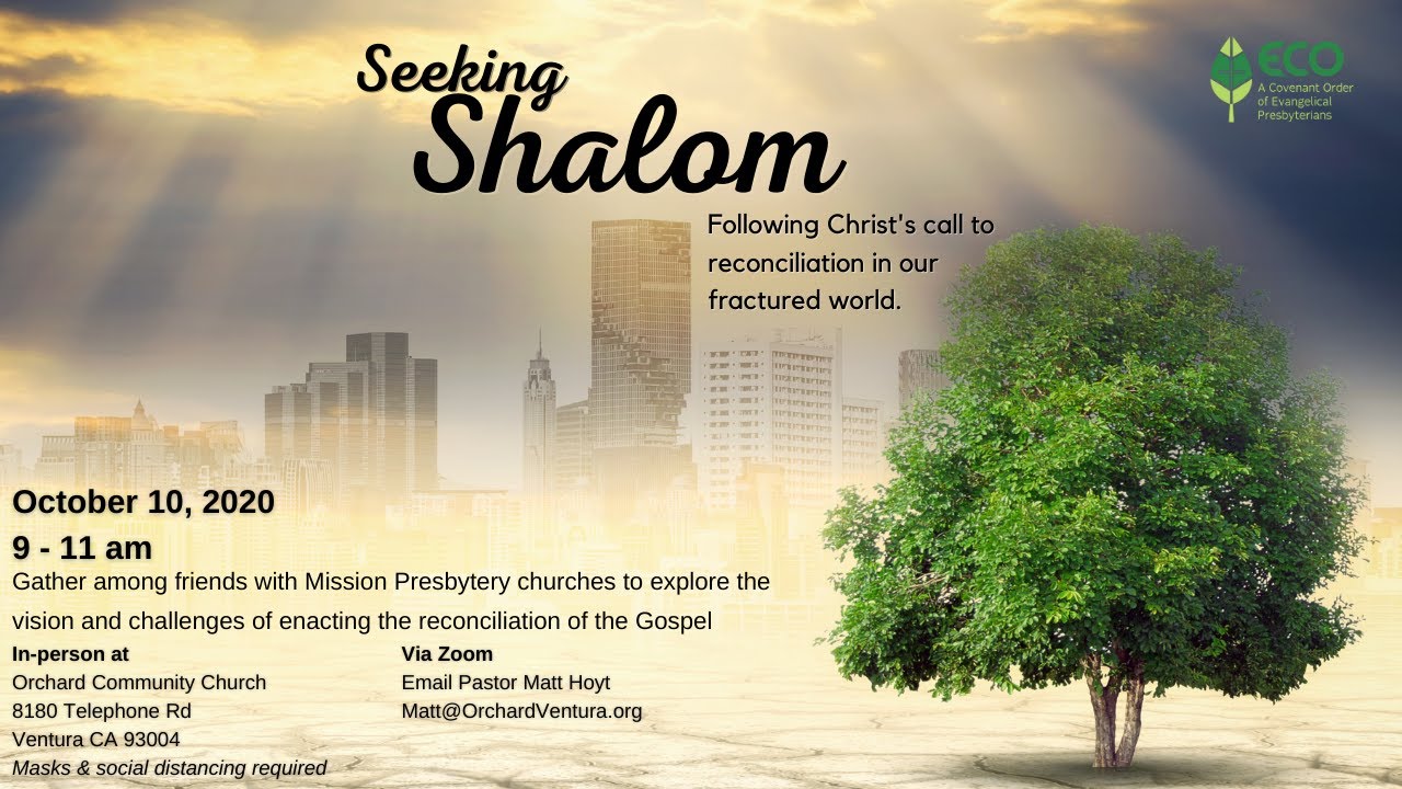 Seeking Shalom Invite - YouTube