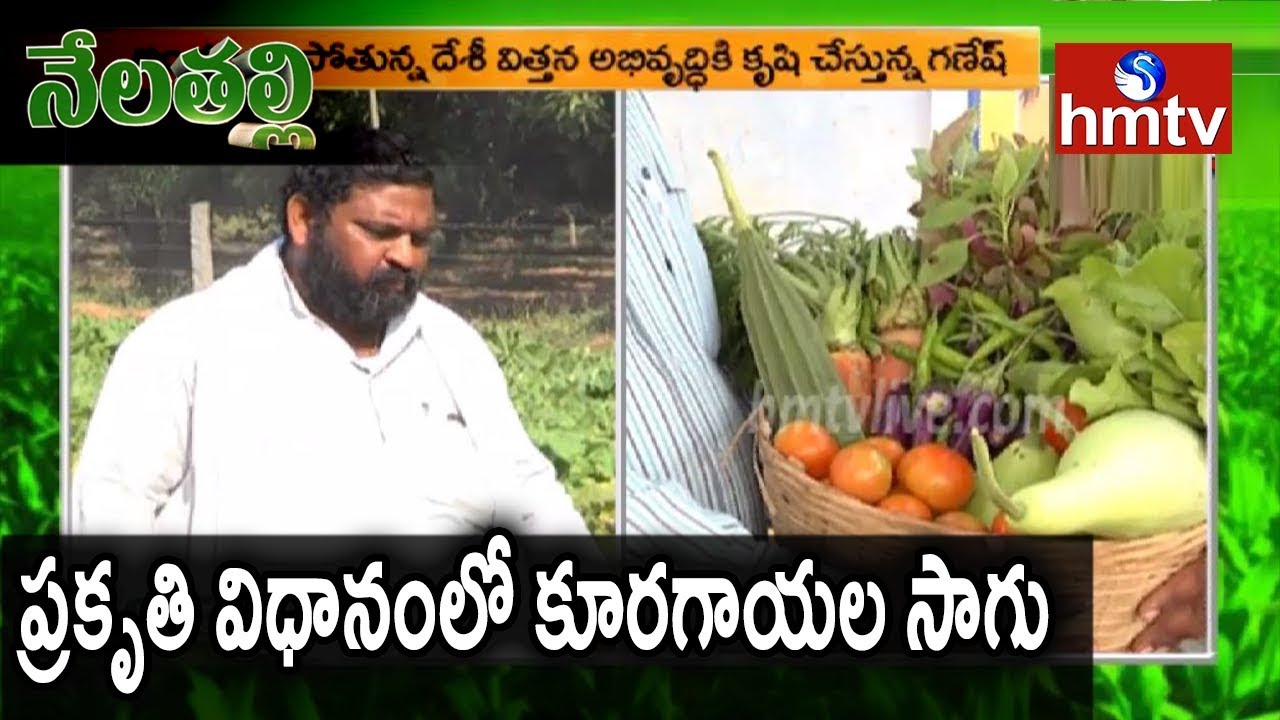 Vegetables Farming: Farmer Ganesh Success Story | JDR Farms | Nela ...