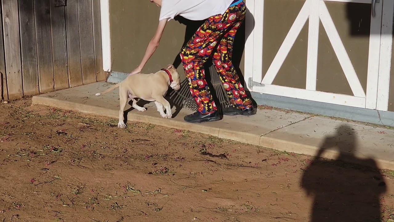 Jaxon & Jordan raking - YouTube