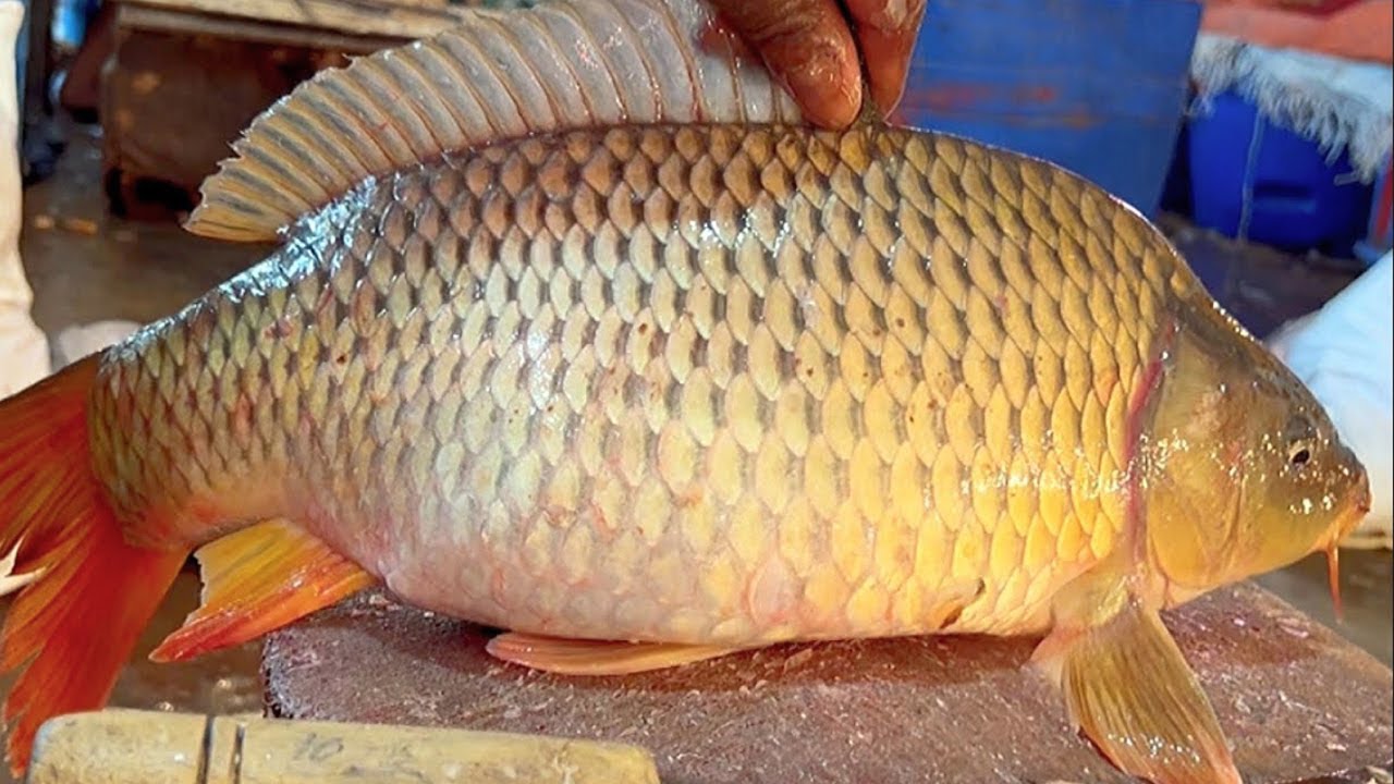 Carp Fish Cutting Skills Live in Fish Market | Fish Cutting Skills ...