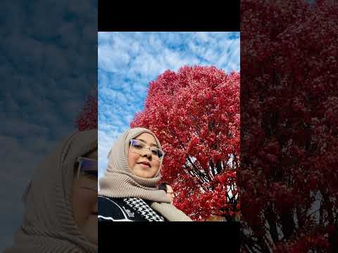 #Mapleleaf 🍁💝 - YouTube