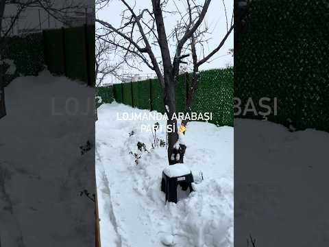 Kar göründü, Arabaşı yapıldı🤤. #kar #van #arabaşı #keşfet #reklamdeğil #yemektarifleri
