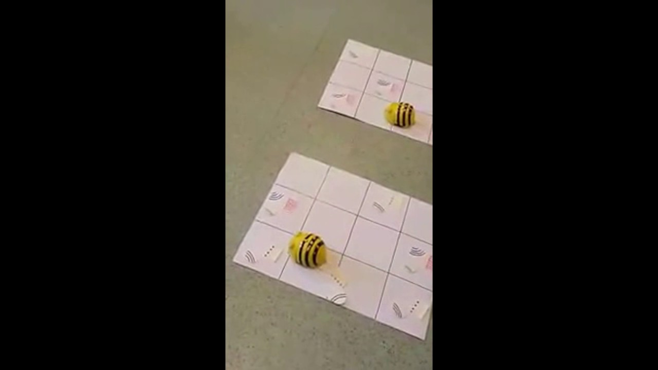 Bee Bot. "Sajajalgne kaotas sokid- leia paarid" - YouTube