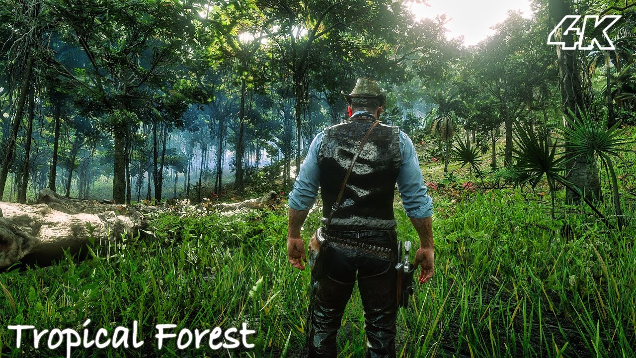 Relaxing Tropical Forest Walk in Guarma (Nature Sounds) | RDR2 - Max ...