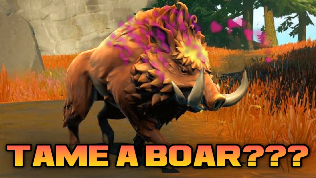 Fortnite: How To Tame A Boar? (Taming Boar) - Tutorial!!! - YouTube