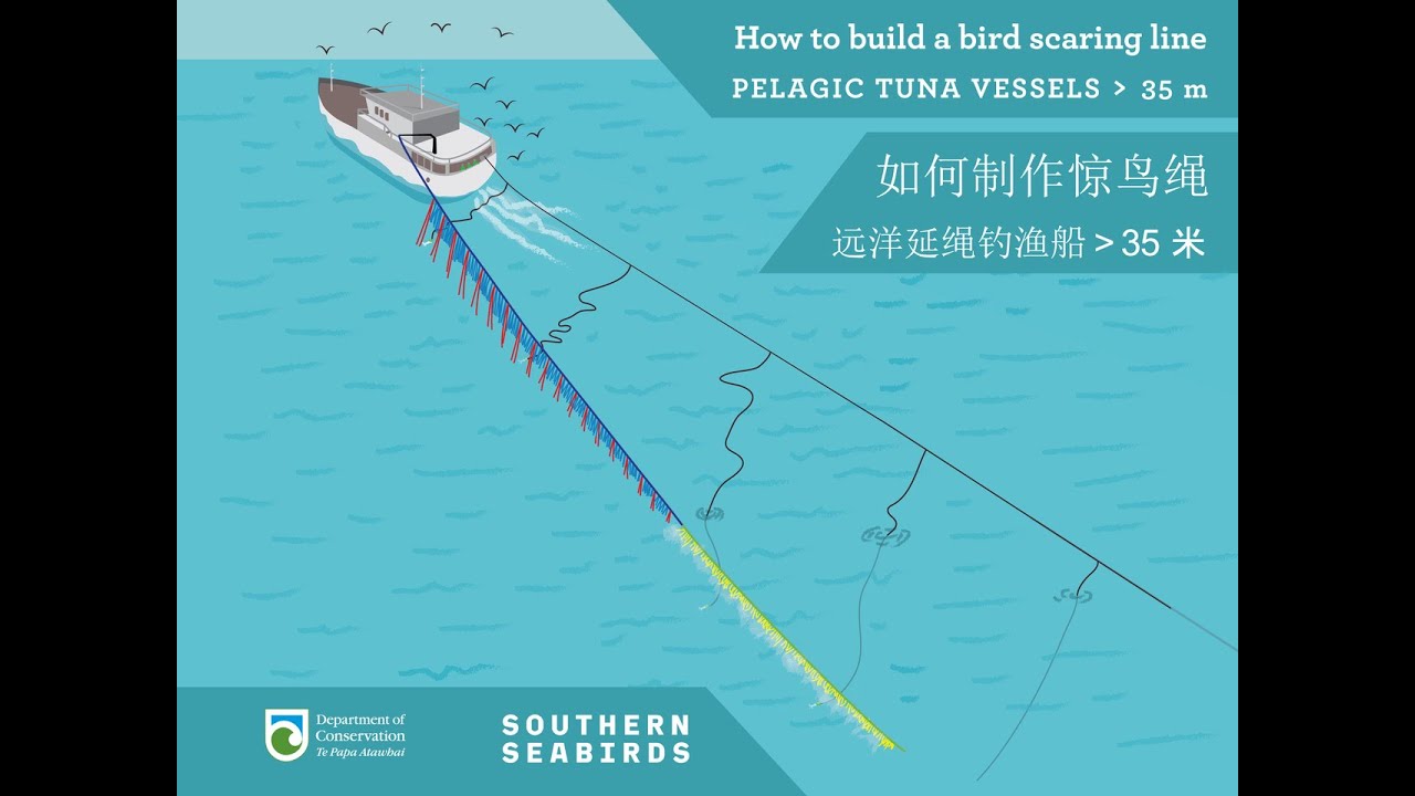 How to build a bird scaring line- PELAGIC TUNA VESSELS 如何制作惊鸟绳 远洋延绳钓渔船 ...