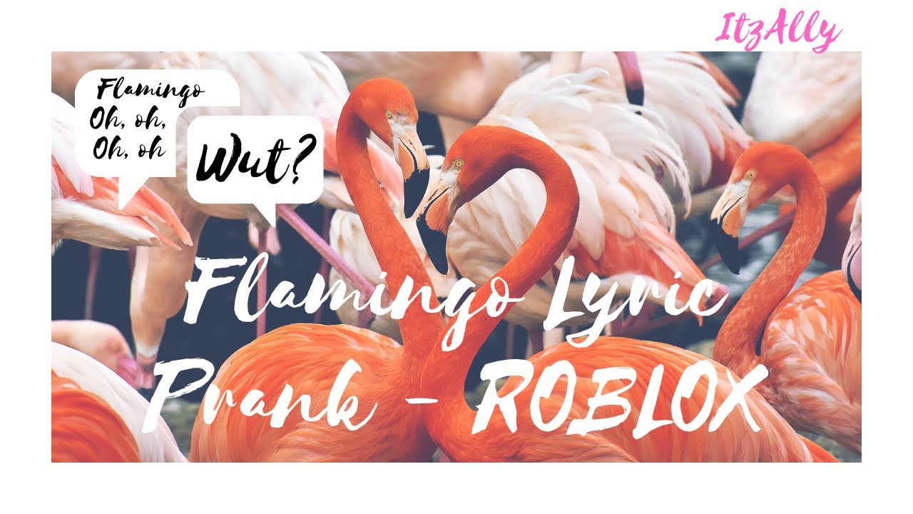 Flamingo lyric prank in ROBLOX 🦩 - YouTube