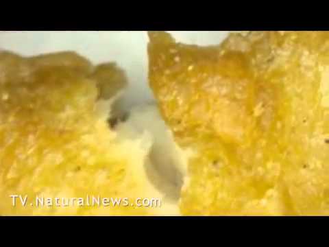 Chicken McNuggets under the microscope - YouTube