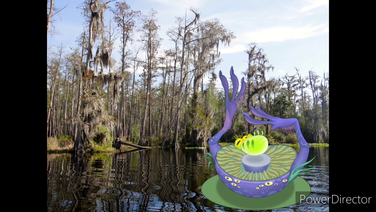 Sqout - Magical Bog - YouTube