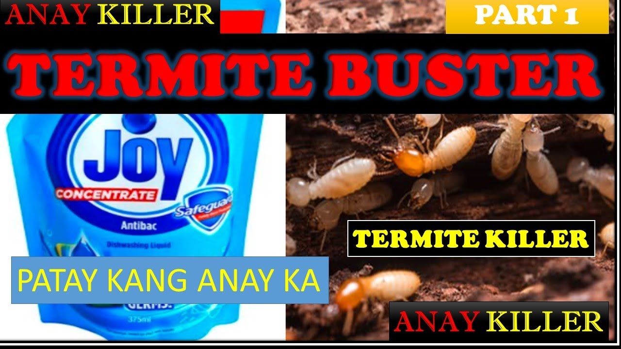 Pamatay Anay - Termite Buster / Joy dishwashing liquid - YouTube
