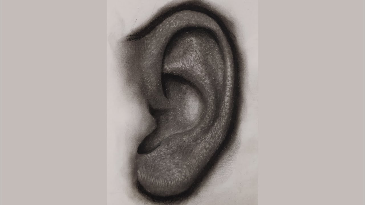 ear design|How to Draw An ear for beginners | Step by Step to pull the ...
