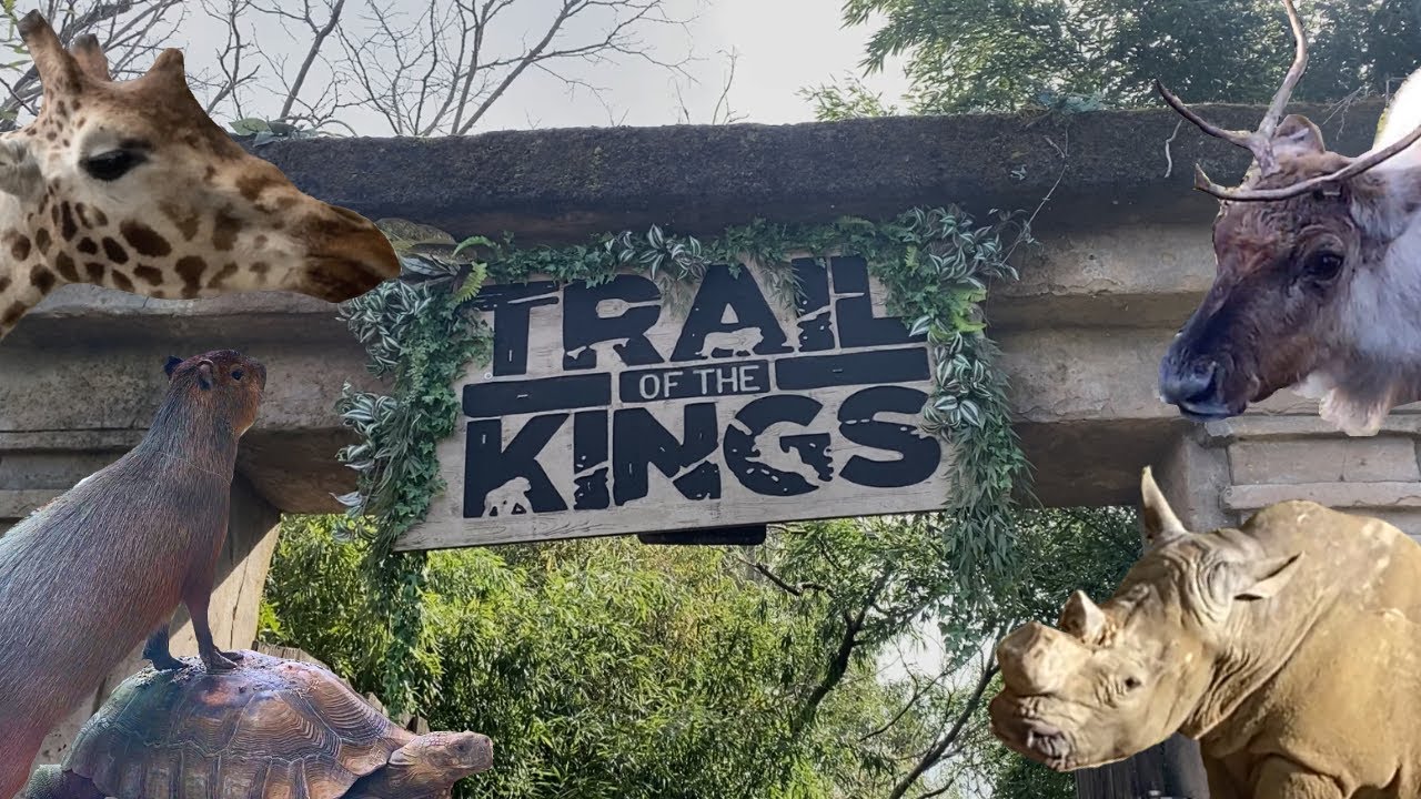 Chessington Zoo | All Animals 2024 - YouTube
