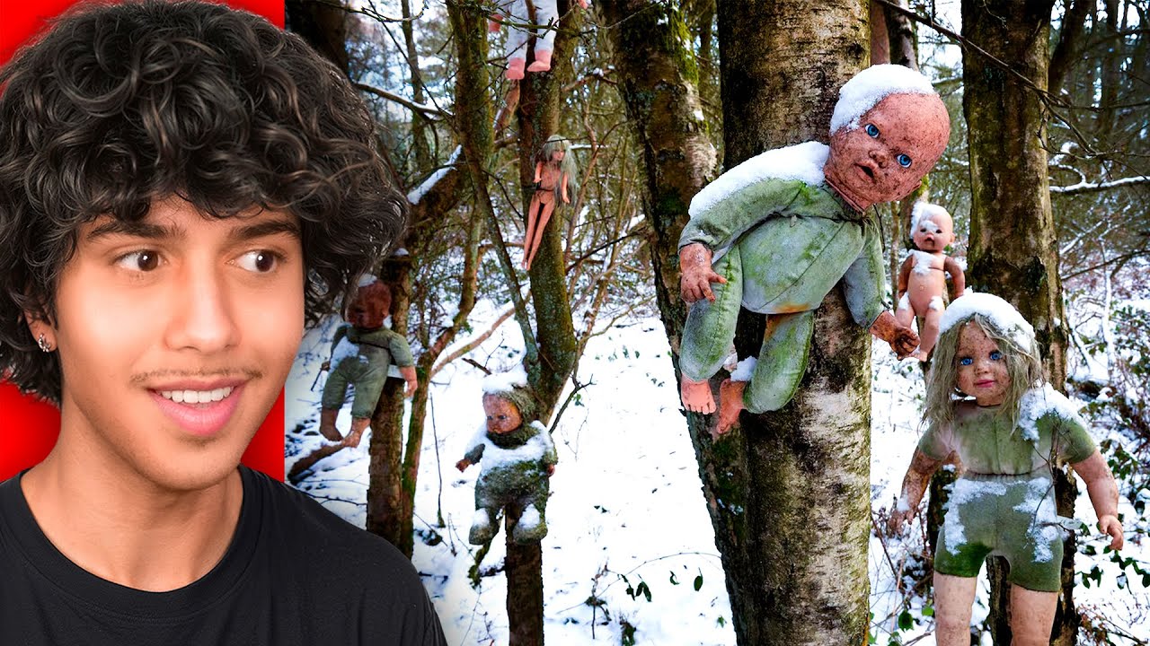 I Found Something in the Forest… - YouTube